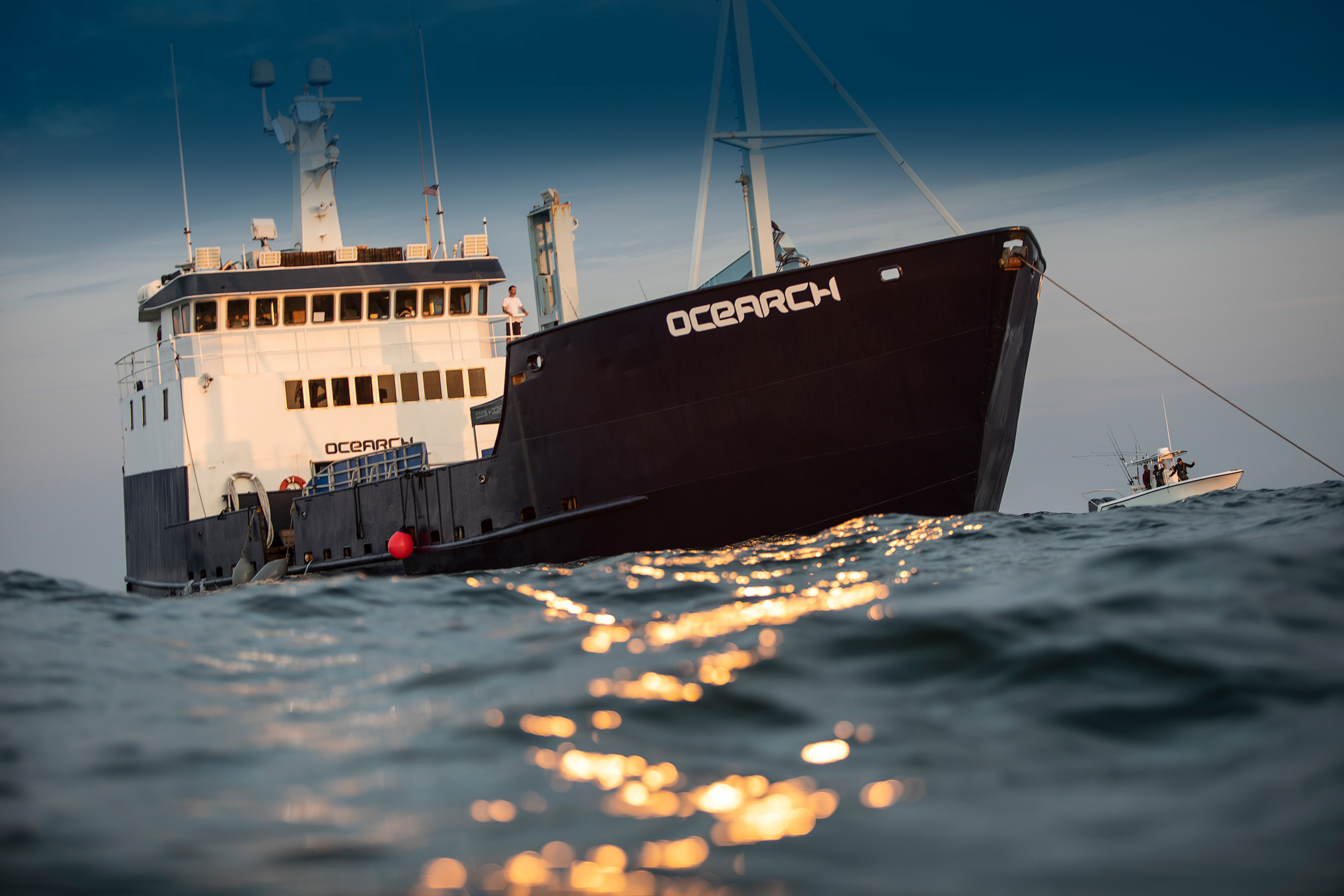 OCEARCH Launches Meet a Shark Sweepstakes, Giving individuals the ...