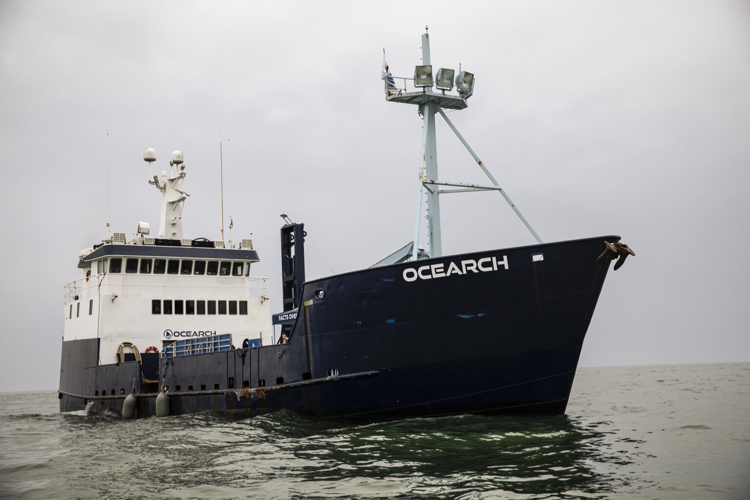 OCEARCH Blog | Shark Research News & Press