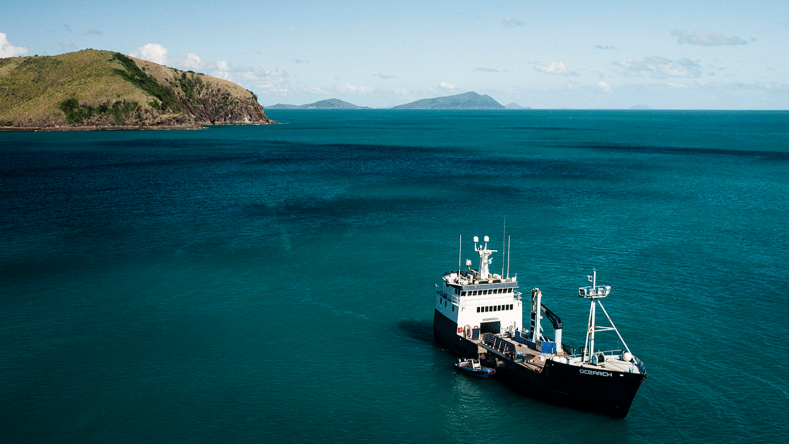 OCEARCH Blog | Shark Research News & Press