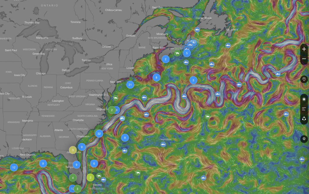 Track Sharks With Us | OCEARCH Shark Tracker