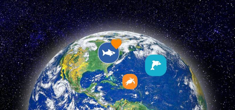 Our Mission | Who Is OCEARCH Shark Research